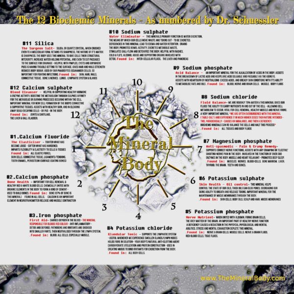 The 12 Biochemic Minerals - The Mineral Body